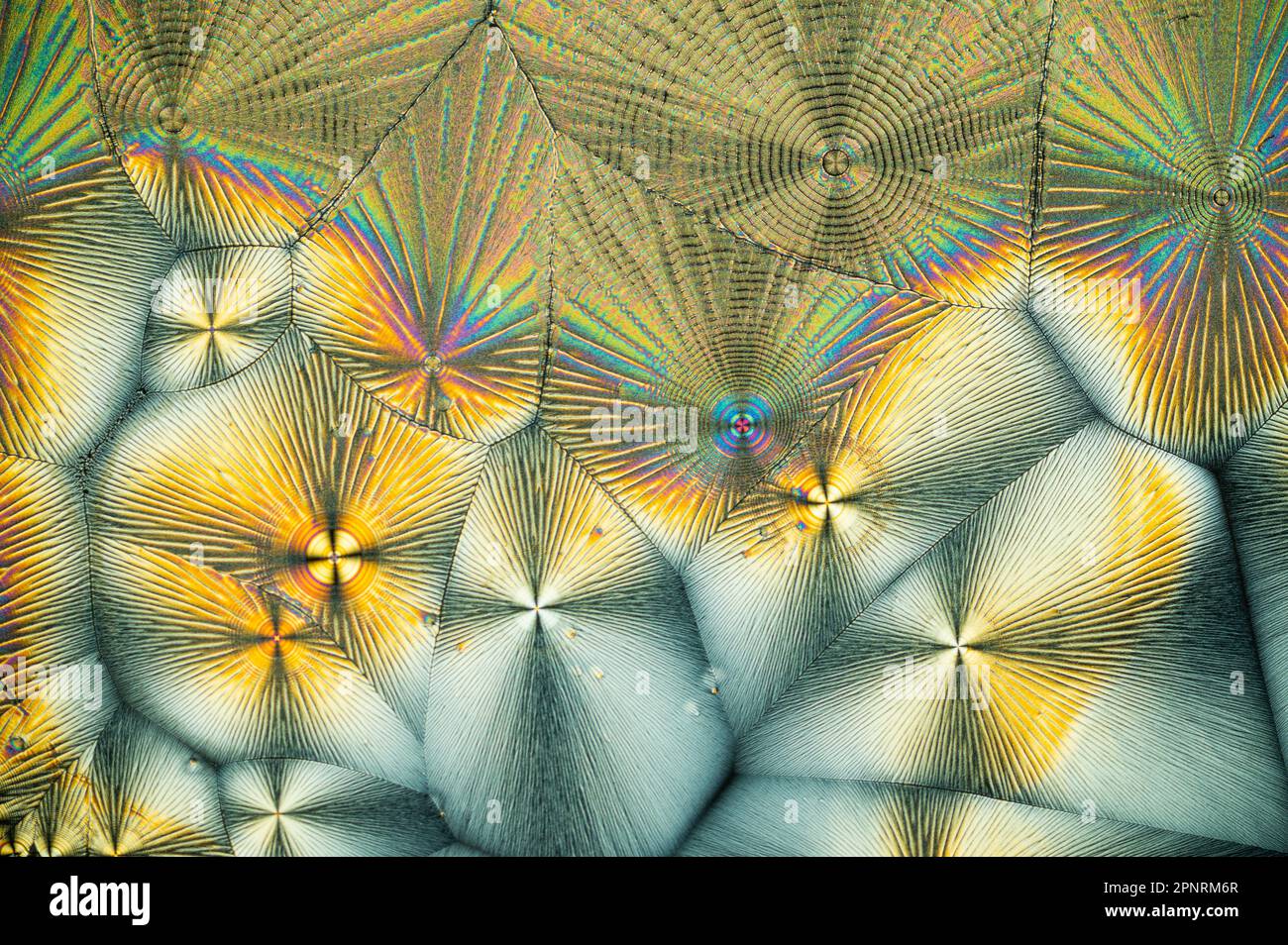 Microscopy crystal hi-res stock photography and images - Alamy