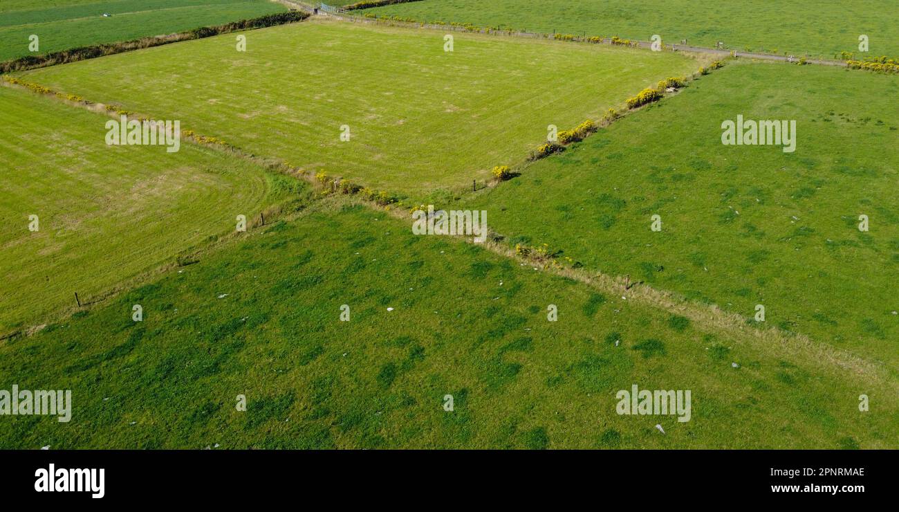 Green pastures for cattle in summer in Ireland, top view. Agricultural ...