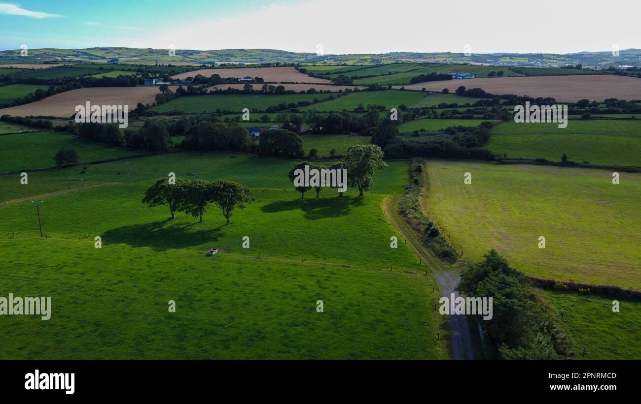 Irish fields, top view. Agricultural landscape in summer. Grass fields ...