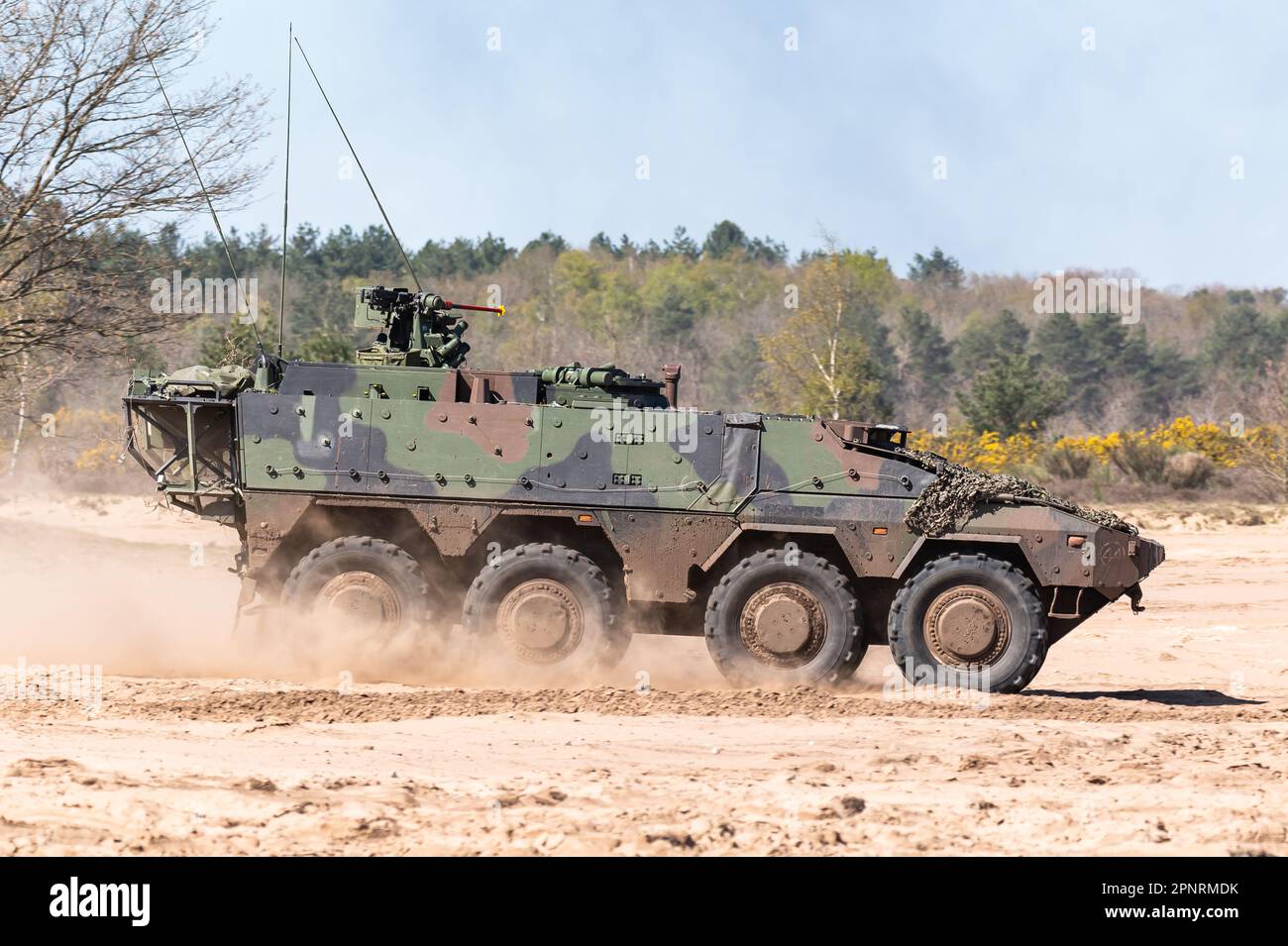 The Boxer armoured fighting vehicle of the Royal Netherlands Army Stock ...