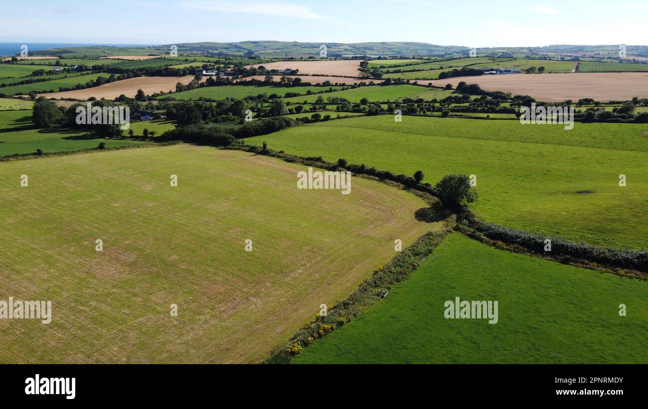 Green farm fields separated by shrubs, top view. Cattle pastures in the ...
