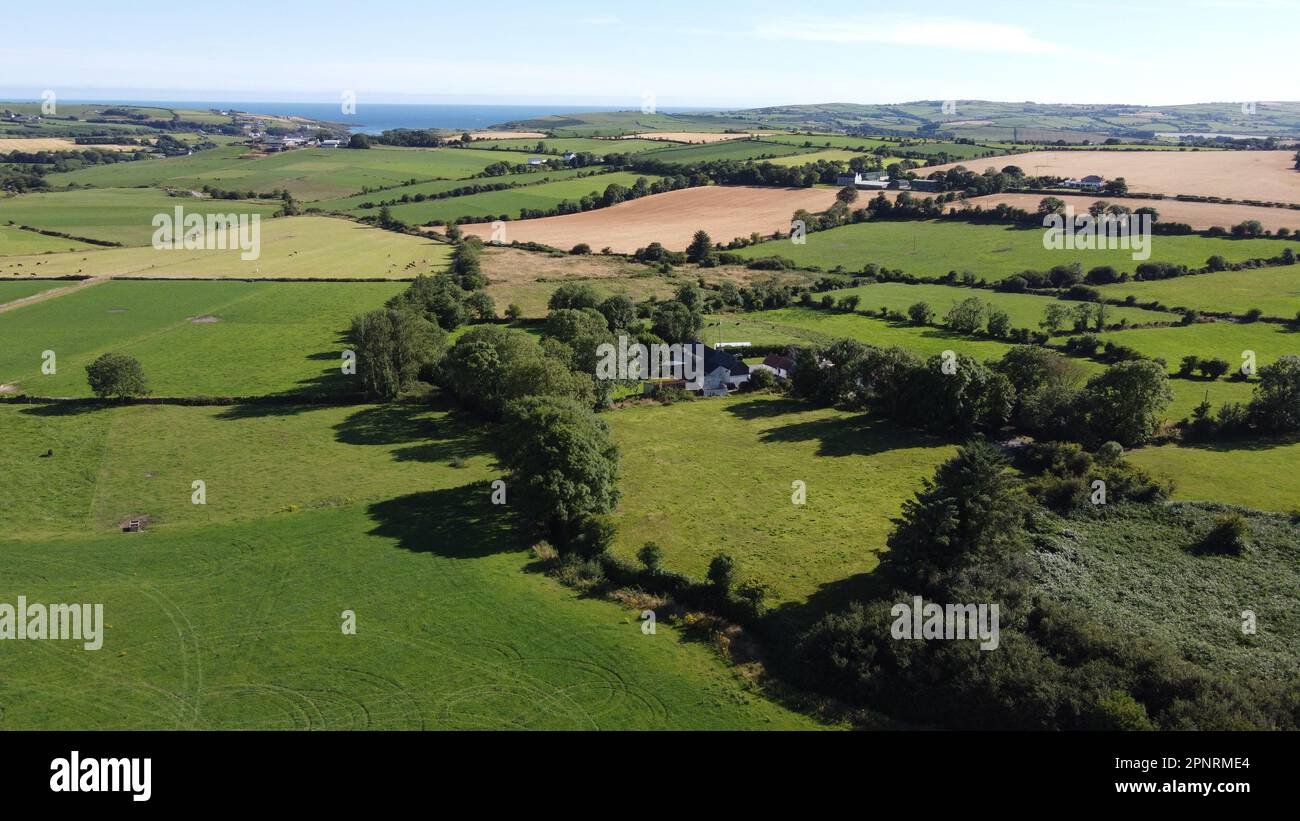 Agricultural landscape in summer. Grass fields and trees. Green grass ...