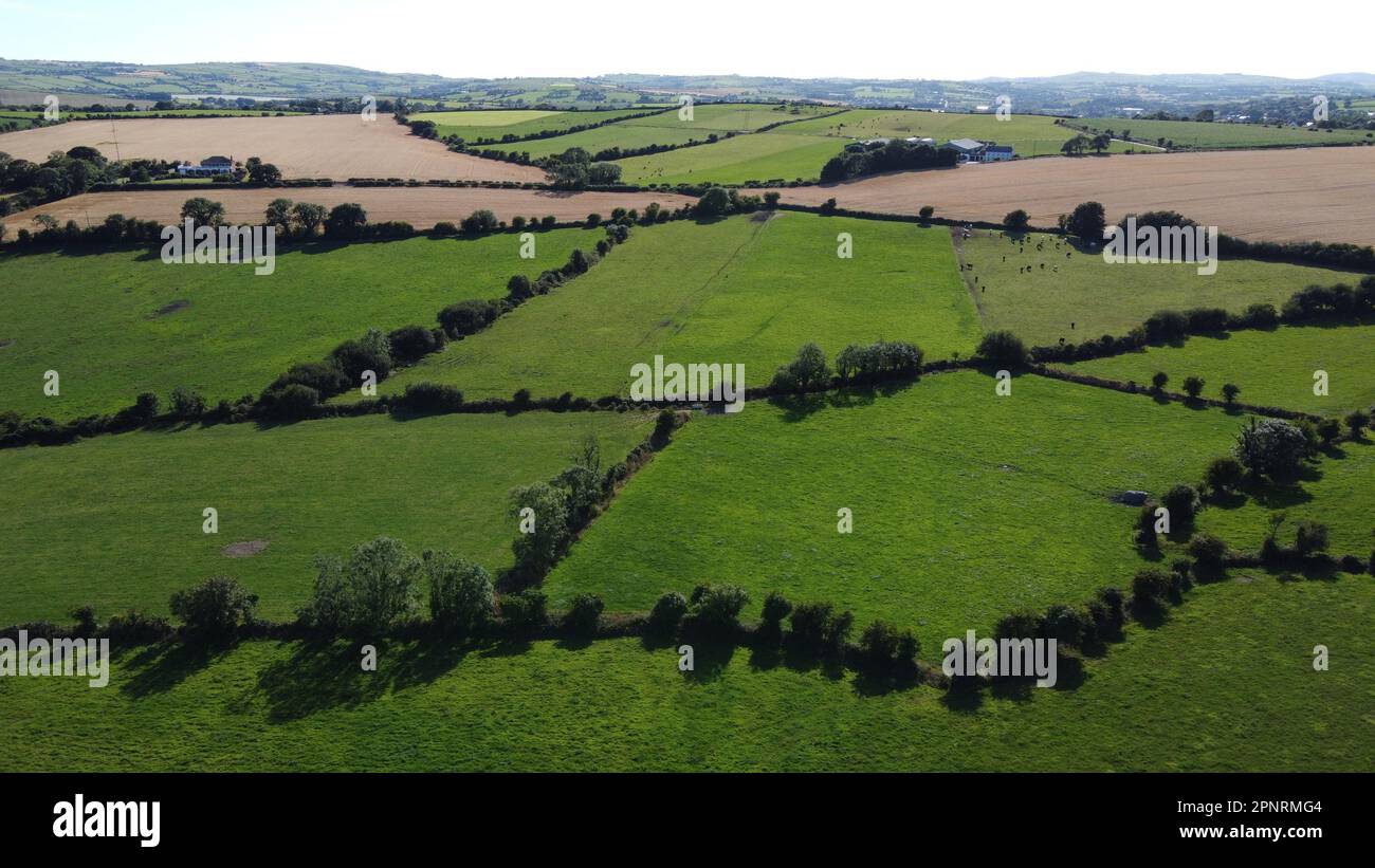 farm fields of Ireland lined with trees, top view. Green Irish ...