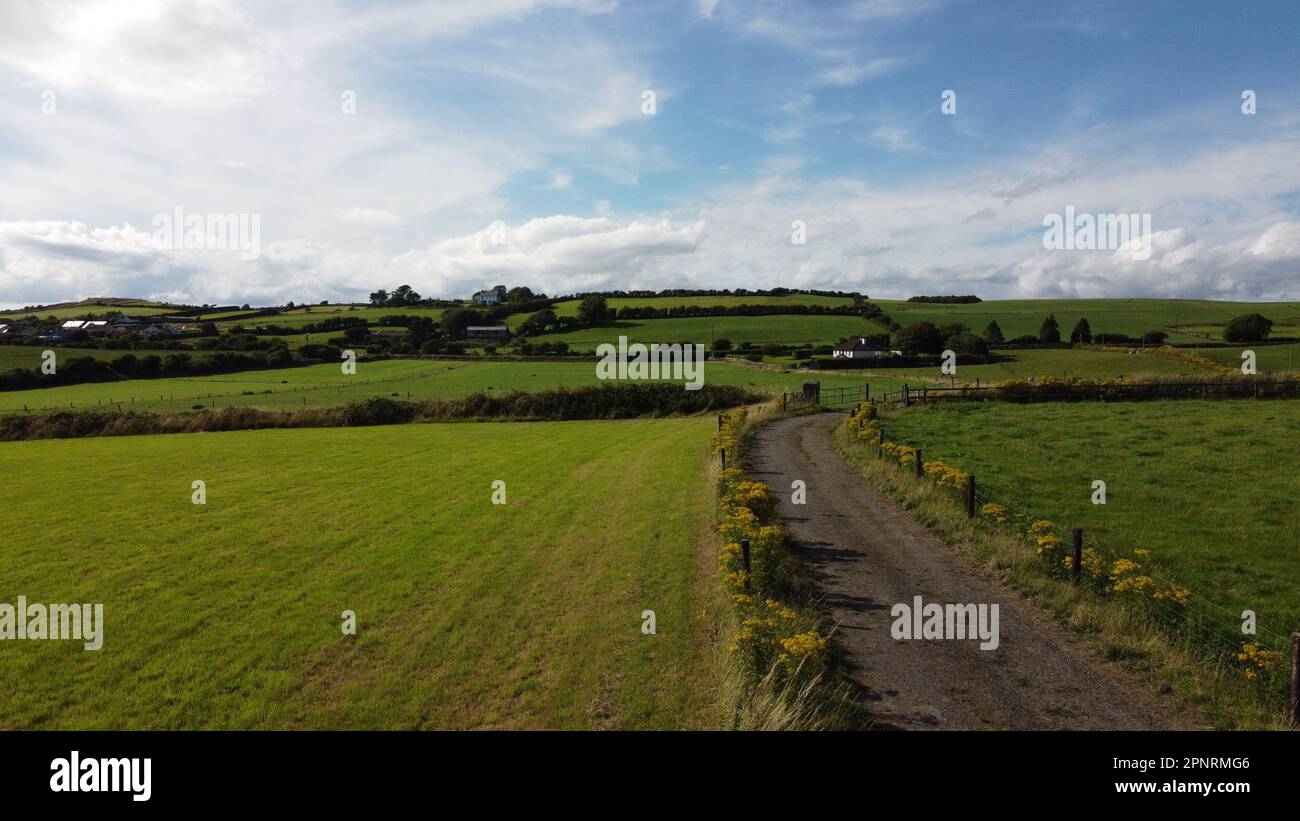A road between fields, Ireland. Blue sky over grass fields. Irish ...