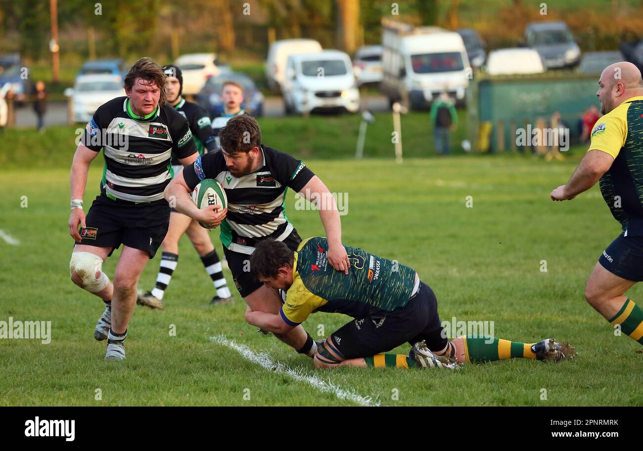 Llandeilo RFC v Cefneithin RFC 2023 Stock Photo - Alamy