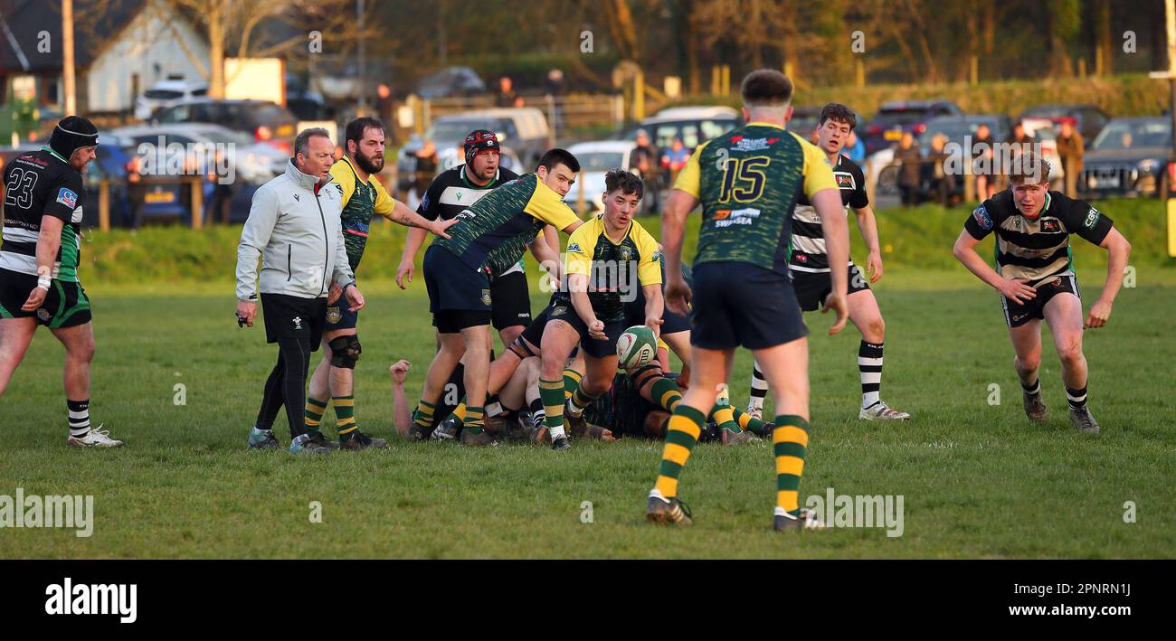 Llandeilo RFC v Cefneithin RFC 2023 Stock Photo - Alamy
