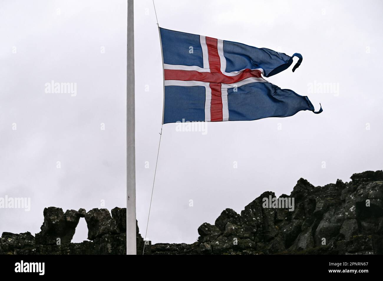Icelandic flag in Thingvellir National Park, Iceland Stock Photo - Alamy