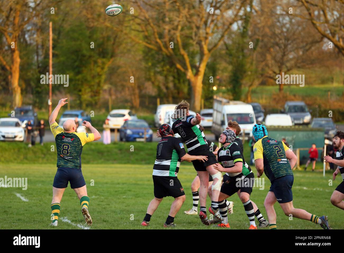 Cefneithin rfc hi-res stock photography and images - Alamy