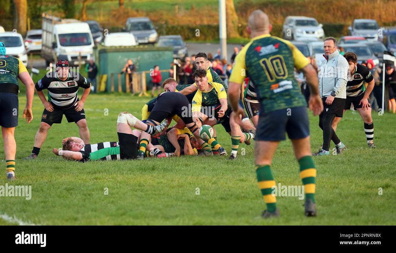 Llandeilo RFC v Cefneithin RFC 2023 Stock Photo - Alamy