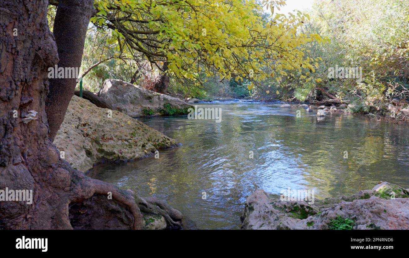 The Shnir Riveri one of the sources of the Jordan river in northern ...