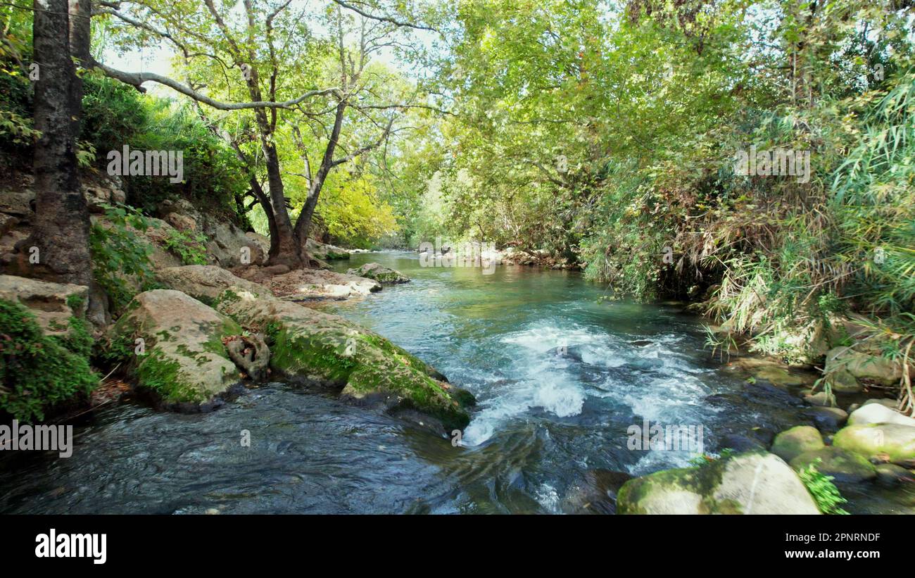 The Shnir Riveri one of the sources of the Jordan river in northern ...