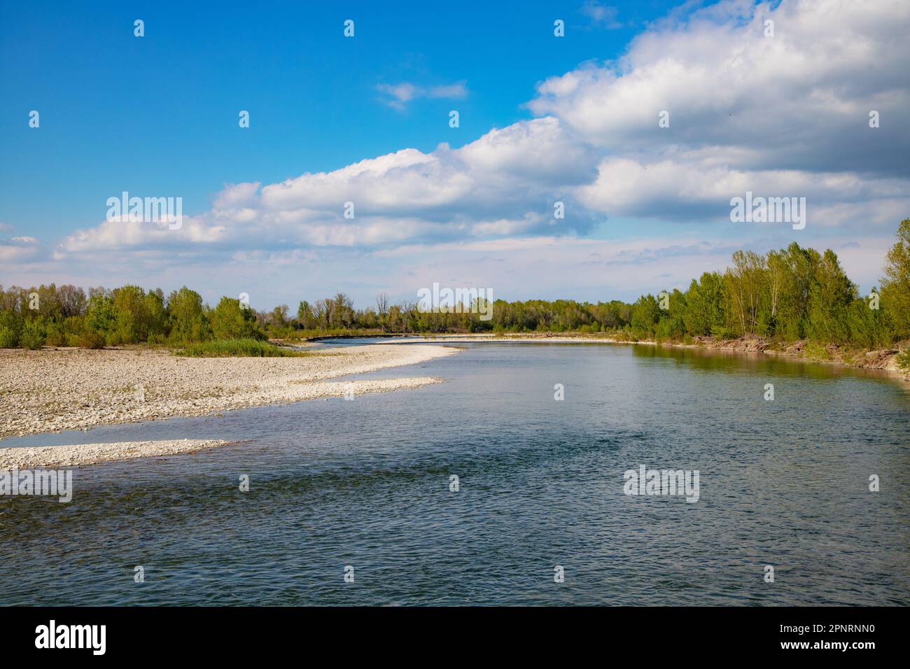 Taro fresco hi-res stock photography and images - Alamy
