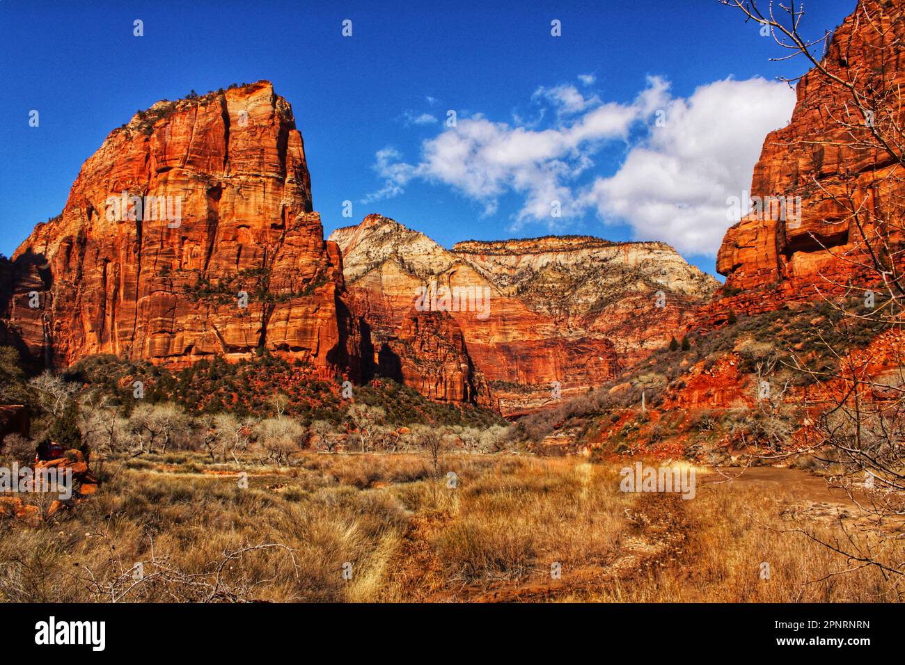 Zion Valley - Angel's Landing from the Floor Stock Photo - Alamy