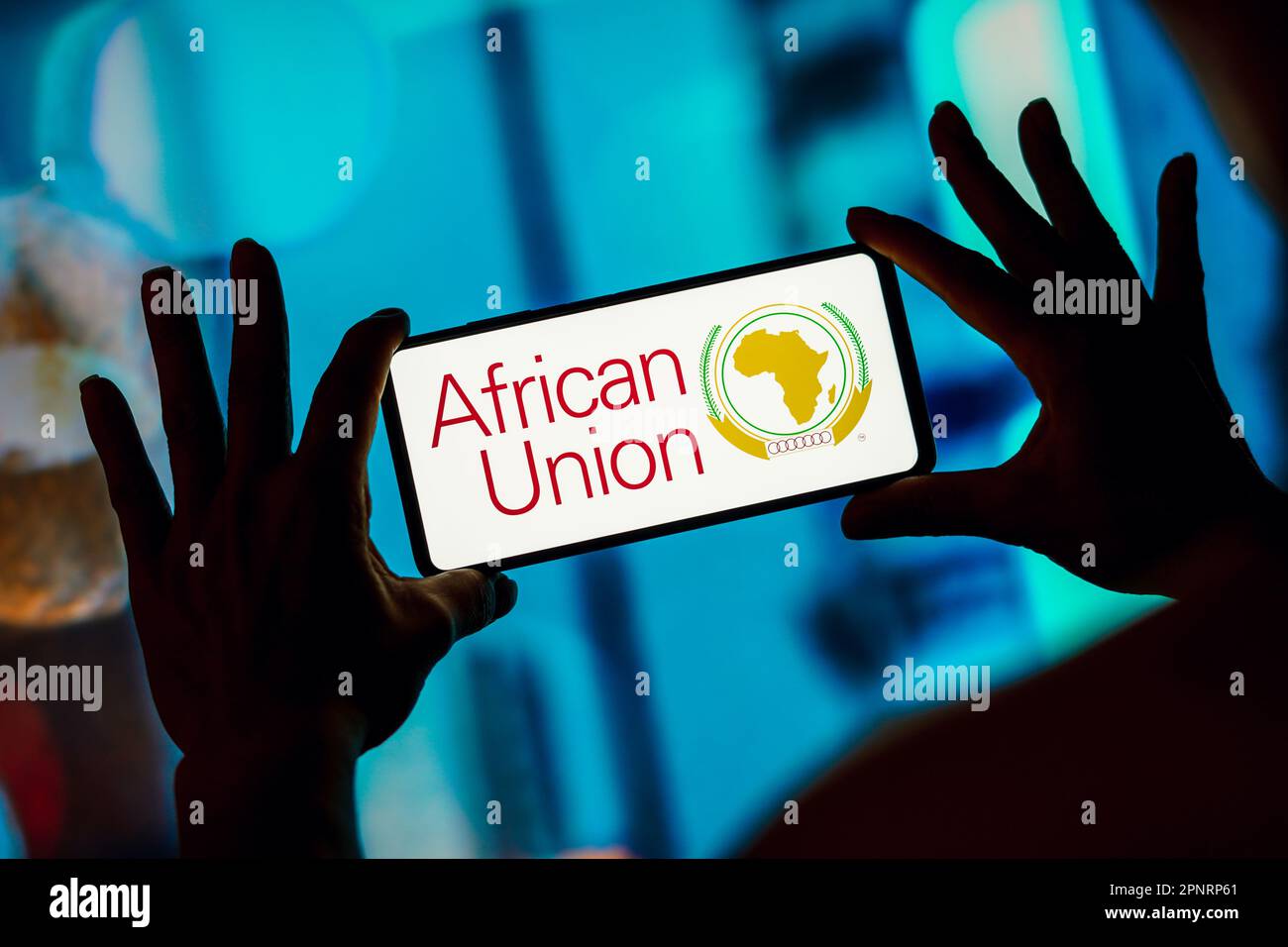 African Union Logo