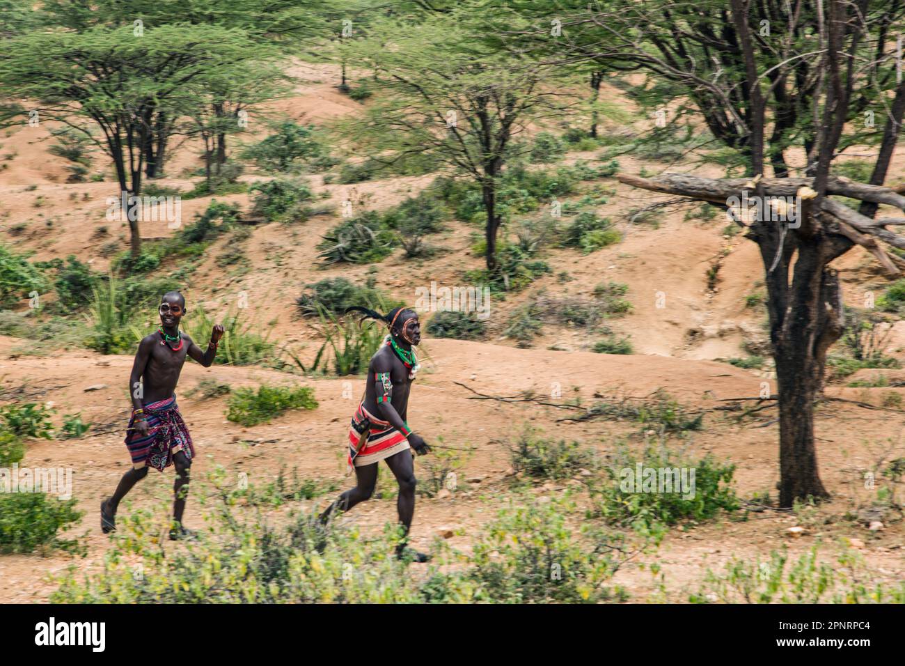 Hamer Tribe, Ethiopia Men on their way to the ceremony Stock Photo - Alamy