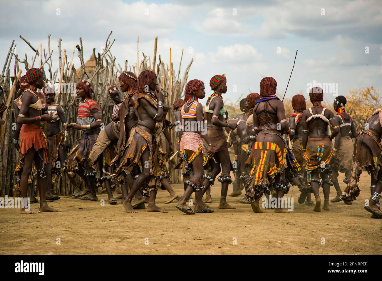 Bull-jumping ceremony women relatives dance Hamer Tribe, Ethiopia Stock ...