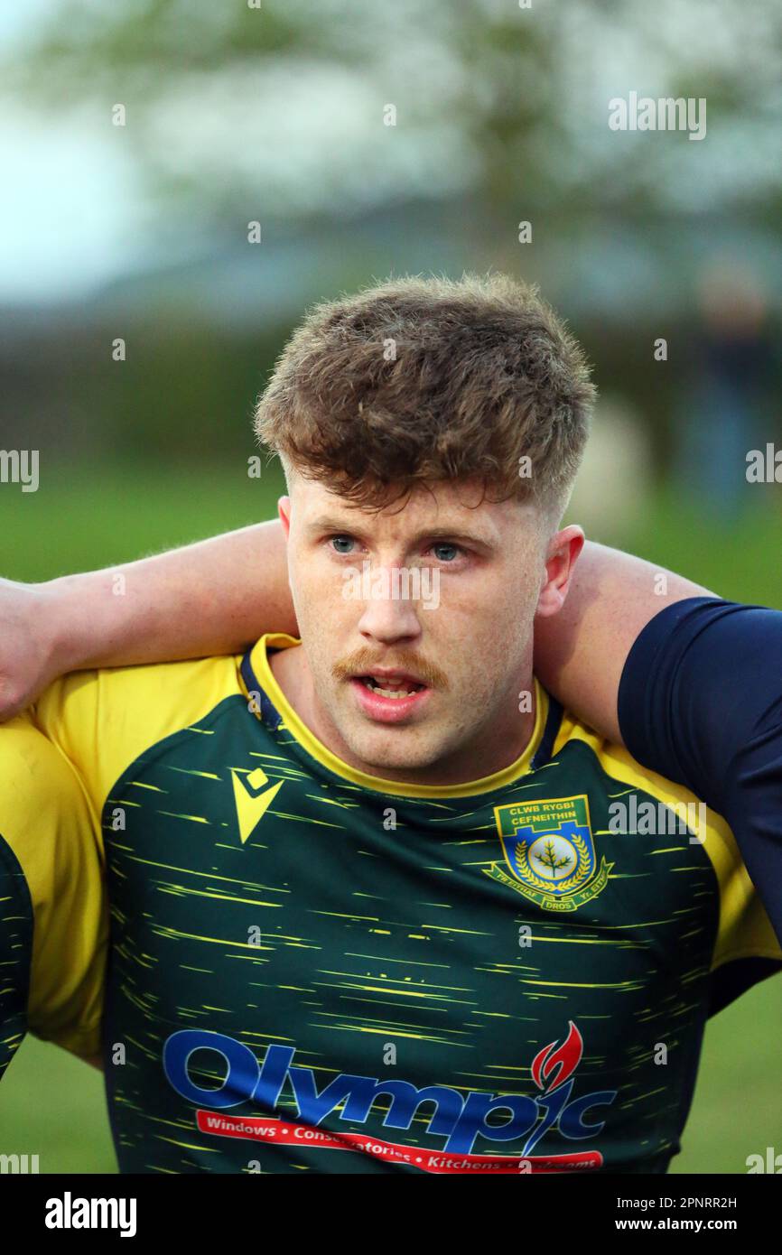 Llandeilo RFC v Cefneithin RFC 2023 Stock Photo - Alamy