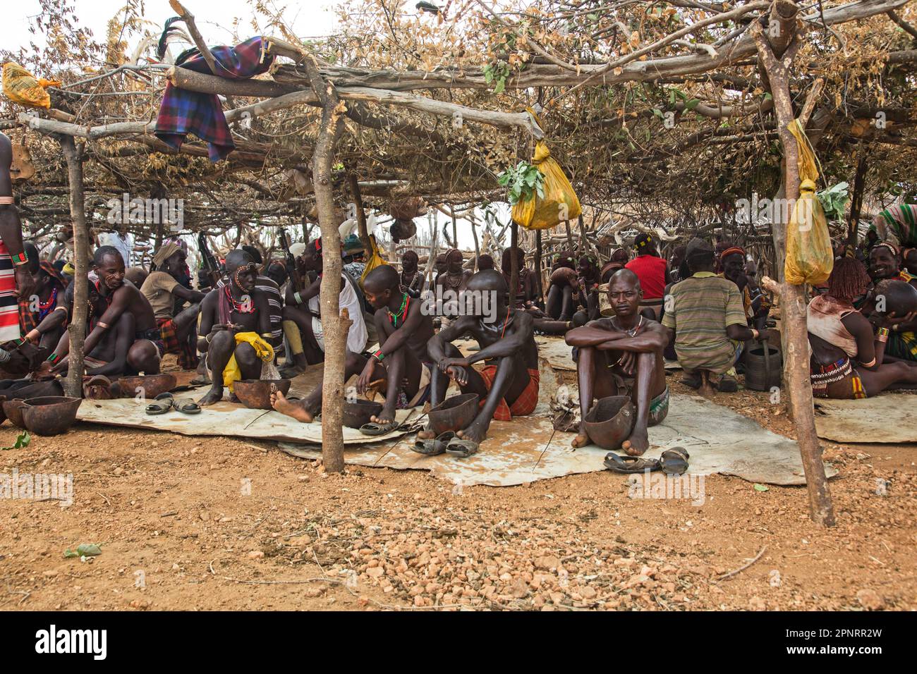 Bull-jumping ceremony Hamer Tribe, Ethiopia Stock Photo - Alamy