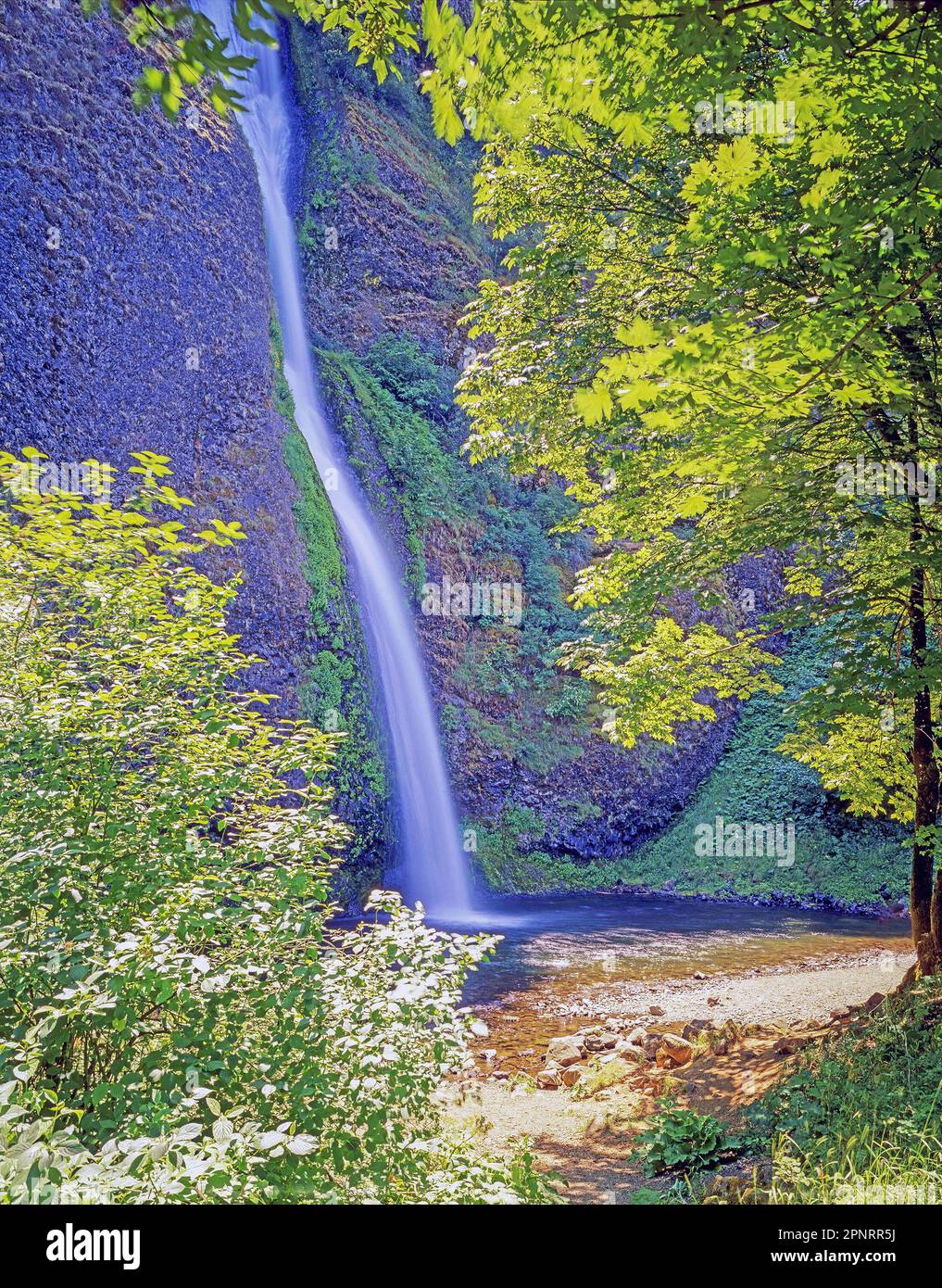 Guy talbot state park hi-res stock photography and images - Alamy