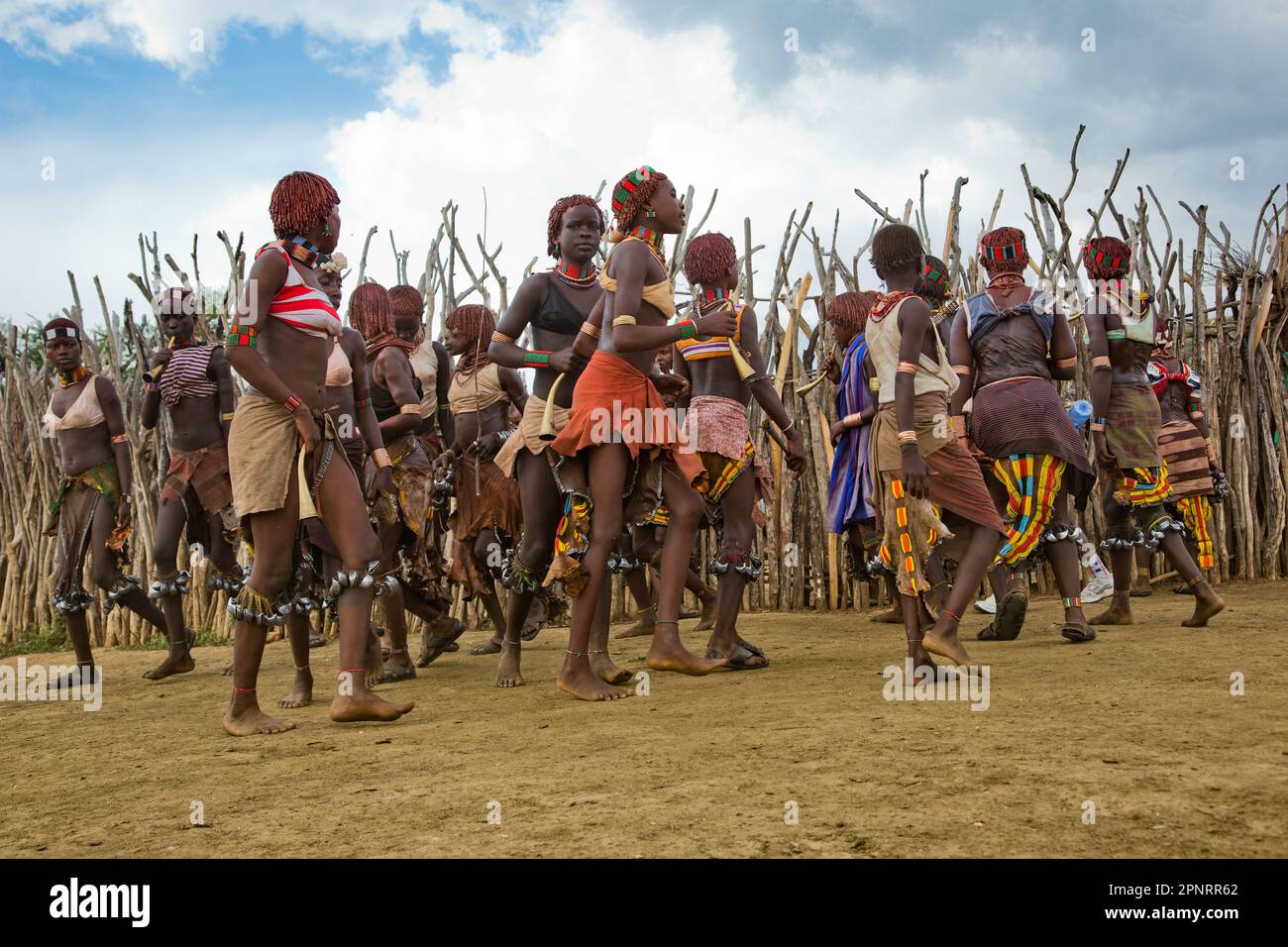 Bull-jumping ceremony women relatives dance Hamer Tribe, Ethiopia Stock ...