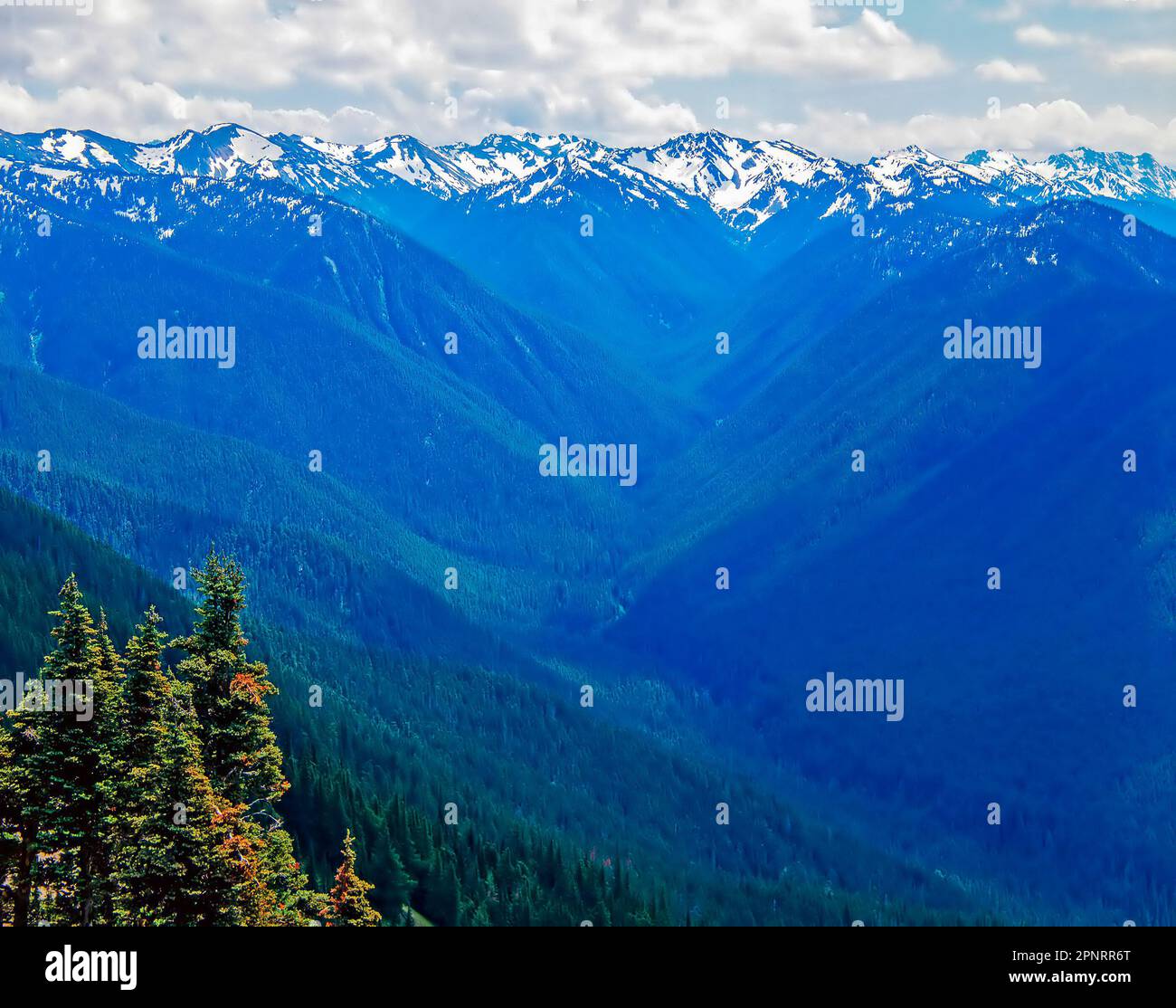Hurricane Ridge in Olympic National Park, Washington Stock Photo - Alamy
