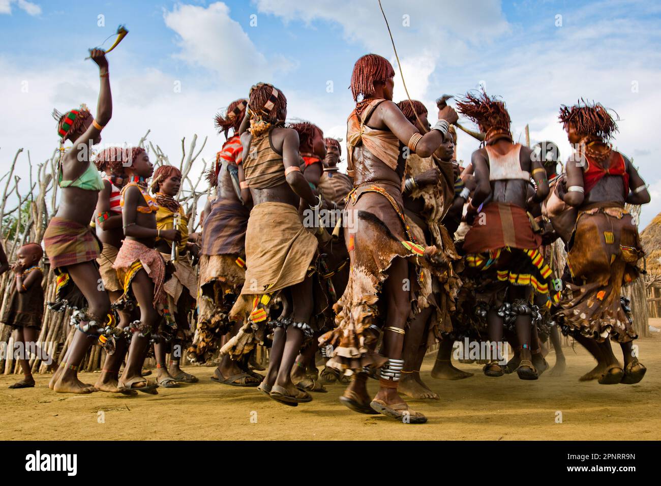 Bull-jumping ceremony women relatives dance Hamer Tribe, Ethiopia Stock ...