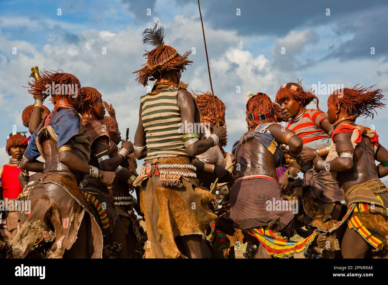Bull-jumping ceremony women relatives dance Hamer Tribe, Ethiopia Stock ...