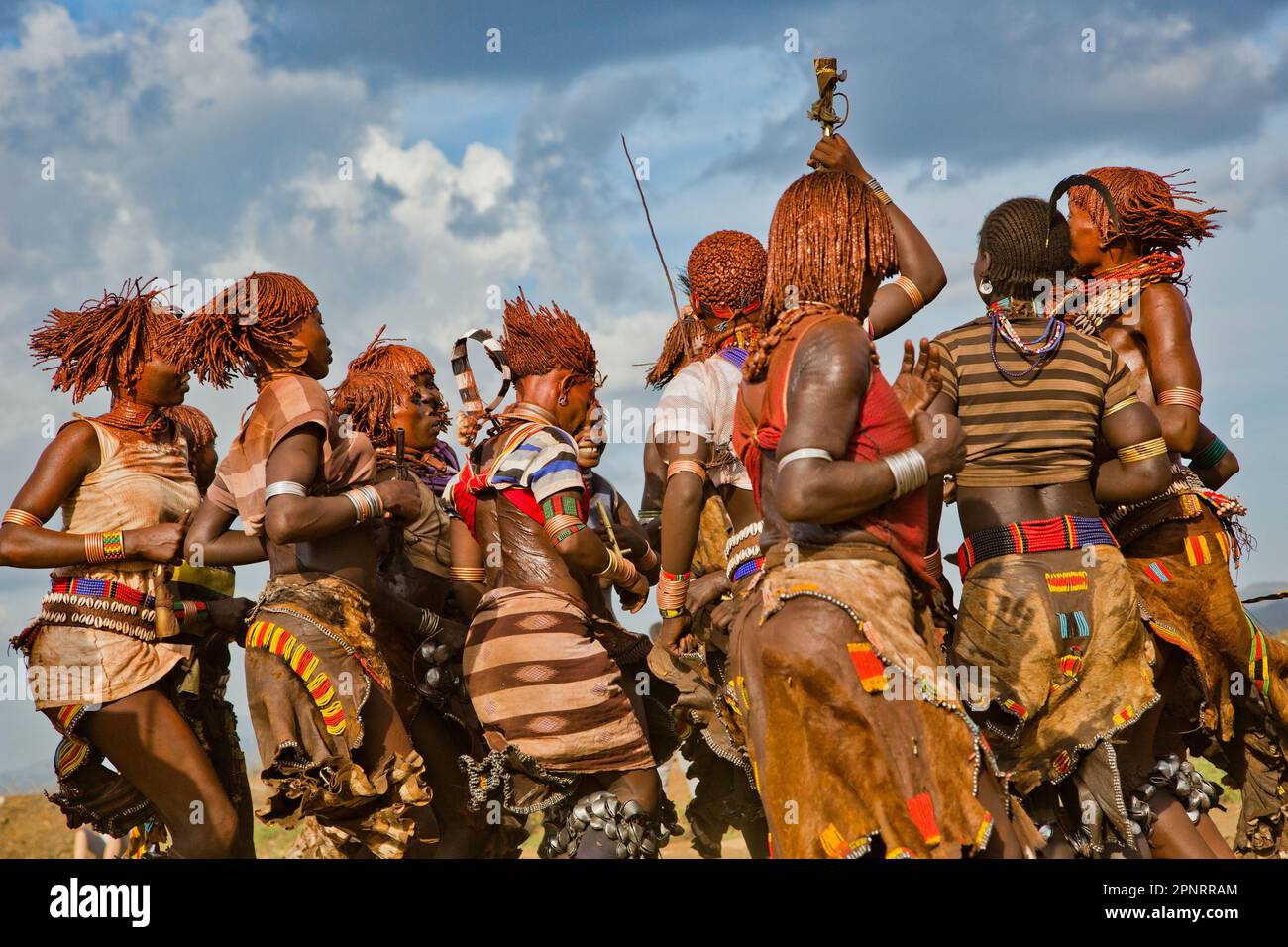Bull-jumping ceremony women relatives dance Hamer Tribe, Ethiopia Stock ...