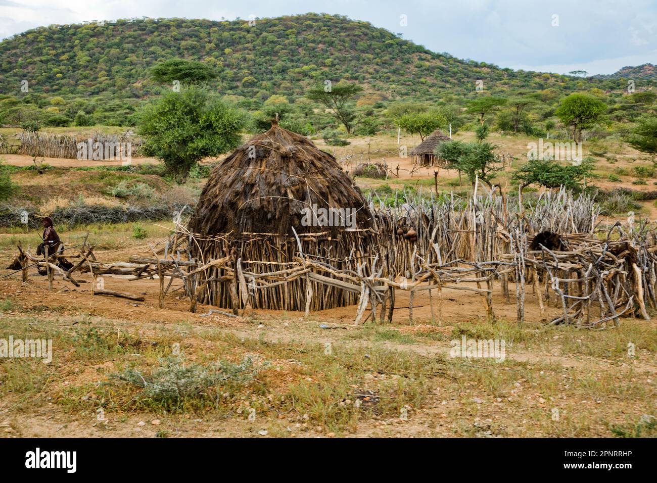 Hamer Tribe, Ethiopia Stock Photo - Alamy