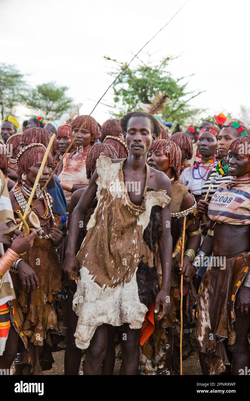 Bull-jumping ceremony Hamer Tribe, Ethiopia Stock Photo - Alamy