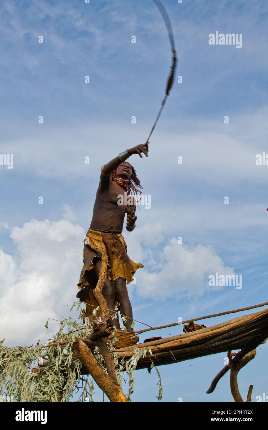 A traditional slingshot for expelling birds from agricultural fields ...