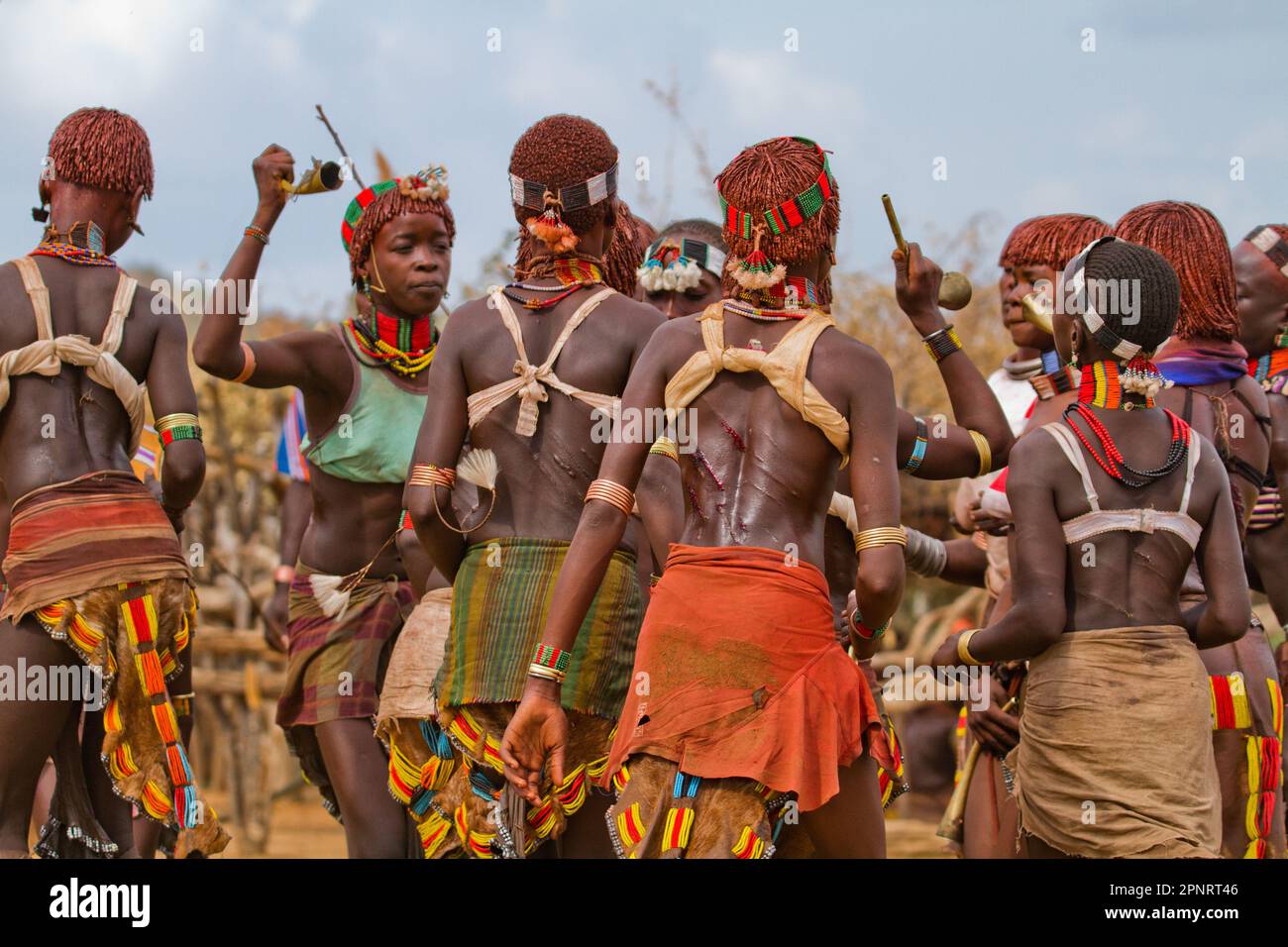 Bull-jumping ceremony women relatives dance Hamer Tribe, Ethiopia Stock ...