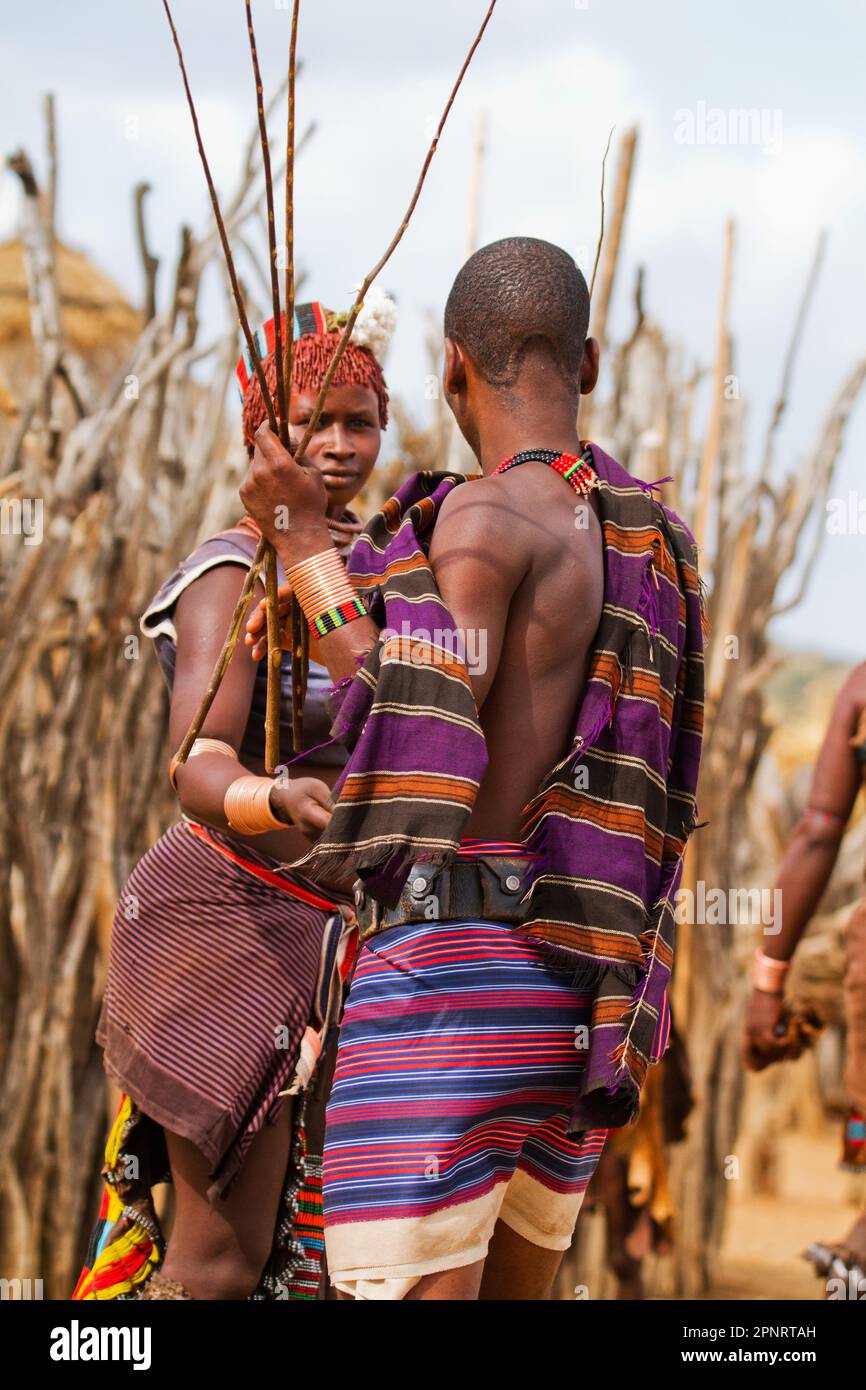 Bull-jumping ceremony Hamer Tribe, Ethiopia Stock Photo - Alamy