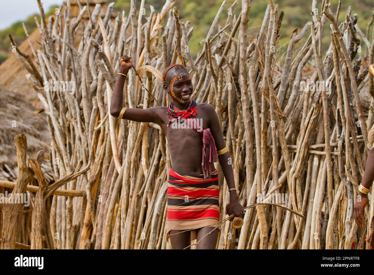 Bull-jumping ceremony Hamer Tribe, Ethiopia Stock Photo - Alamy