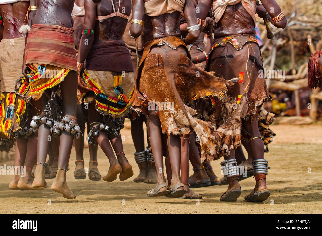 Bull-jumping ceremony women relatives dance Hamer Tribe, Ethiopia Stock ...