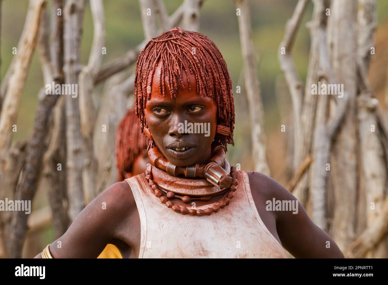 Hamer Tribe, Ethiopia Stock Photo - Alamy