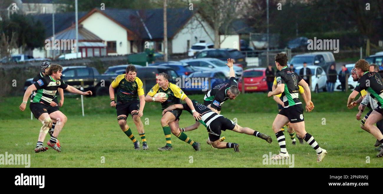 Llandeilo RFC v Cefneithin RFC 2023 Stock Photo - Alamy