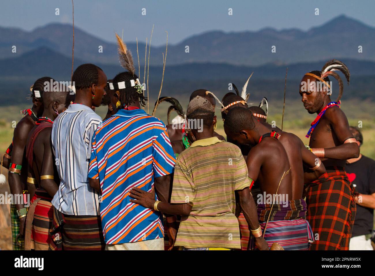 Bull-jumping ceremony Hamer Tribe, Ethiopia Stock Photo - Alamy
