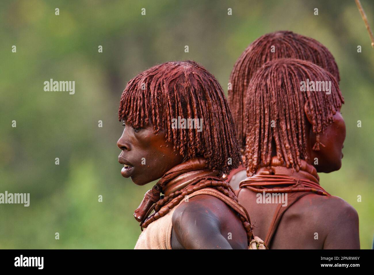 Hamer Tribe, Ethiopia Stock Photo - Alamy