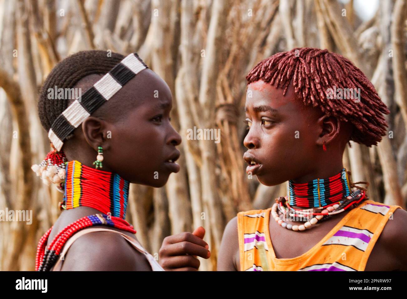 Hamer Tribe, Ethiopia Stock Photo - Alamy