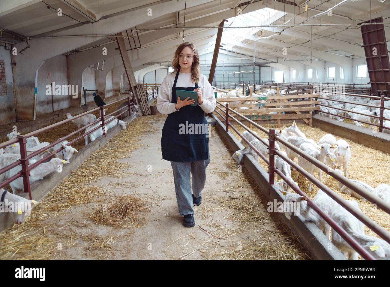 Woman hands farm tablet hi-res stock photography and images - Alamy