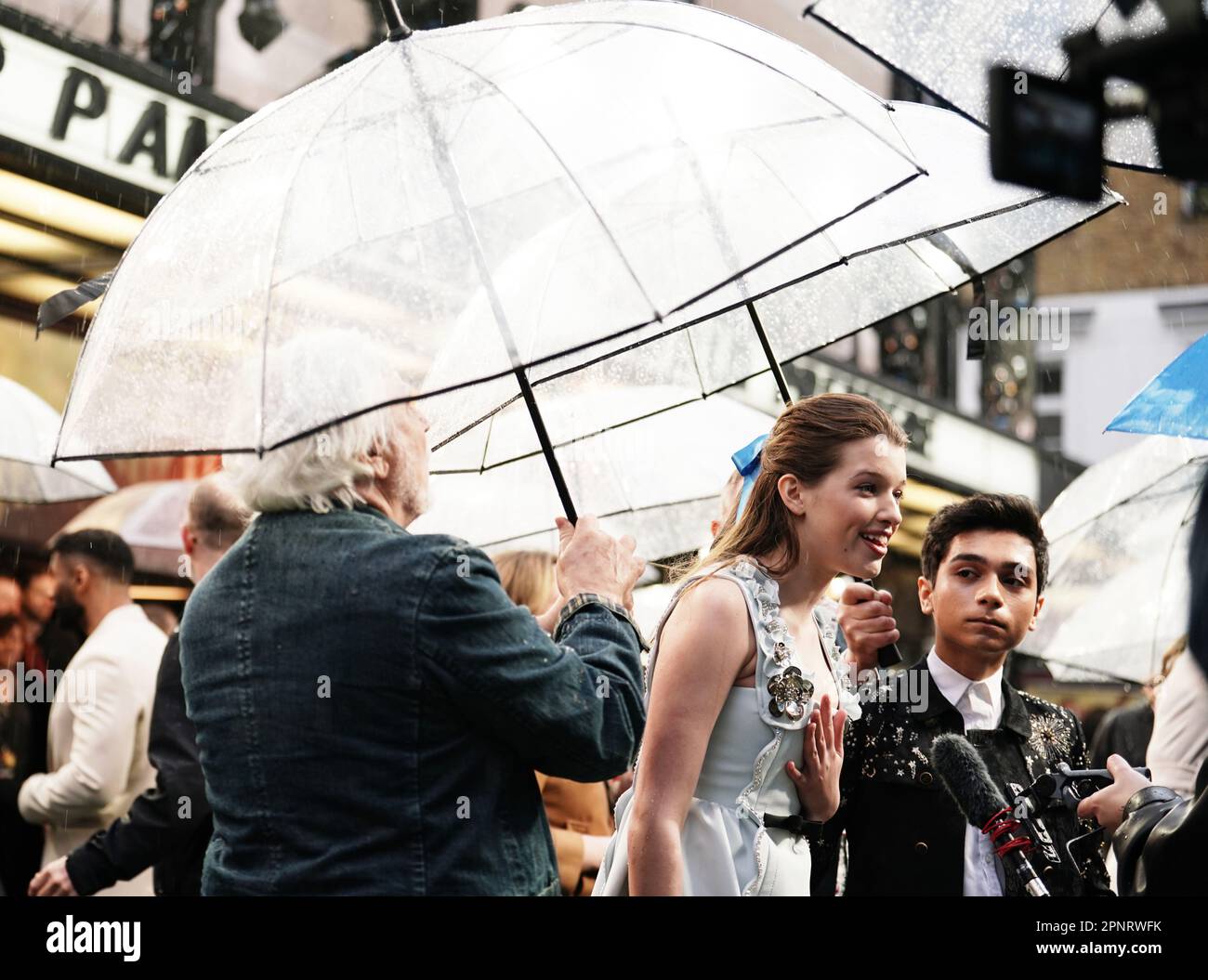 Alexander molony hi-res stock photography and images - Alamy