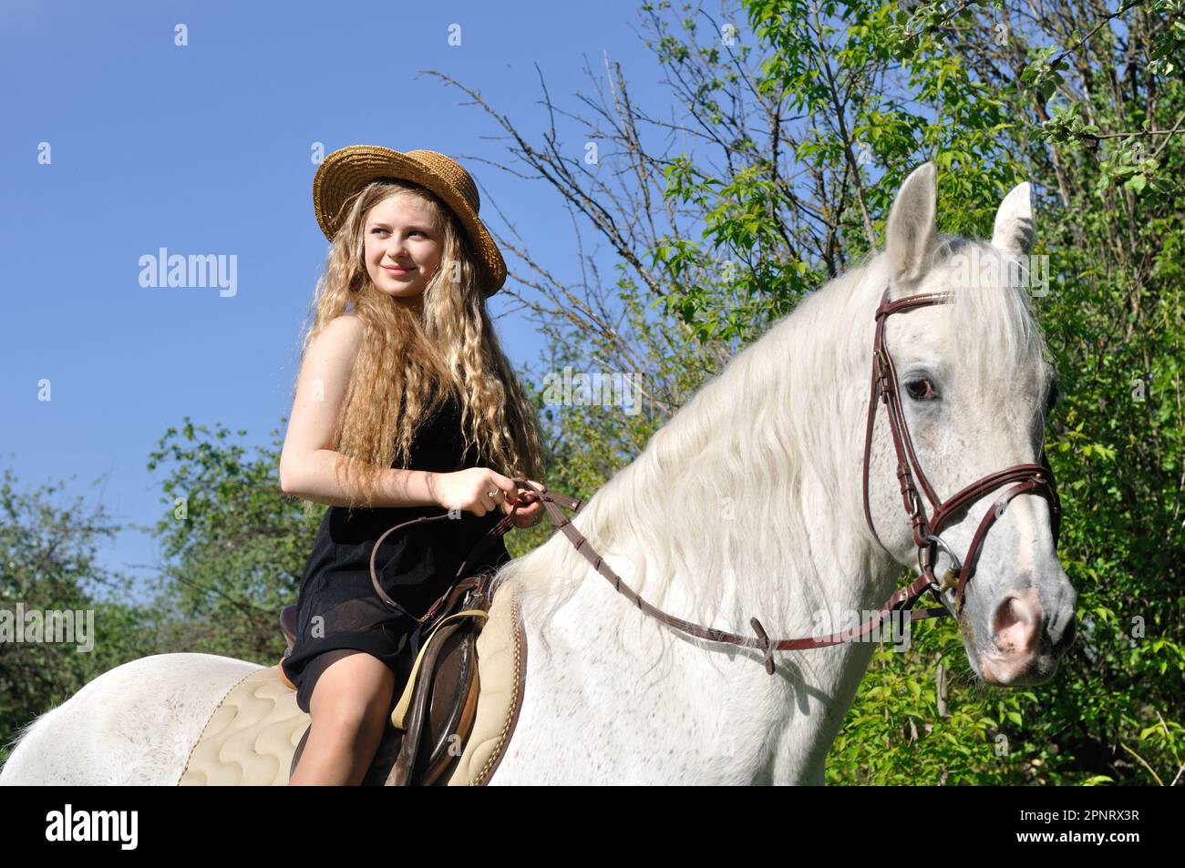 Blond girl riding horse hi-res stock photography and images - Alamy