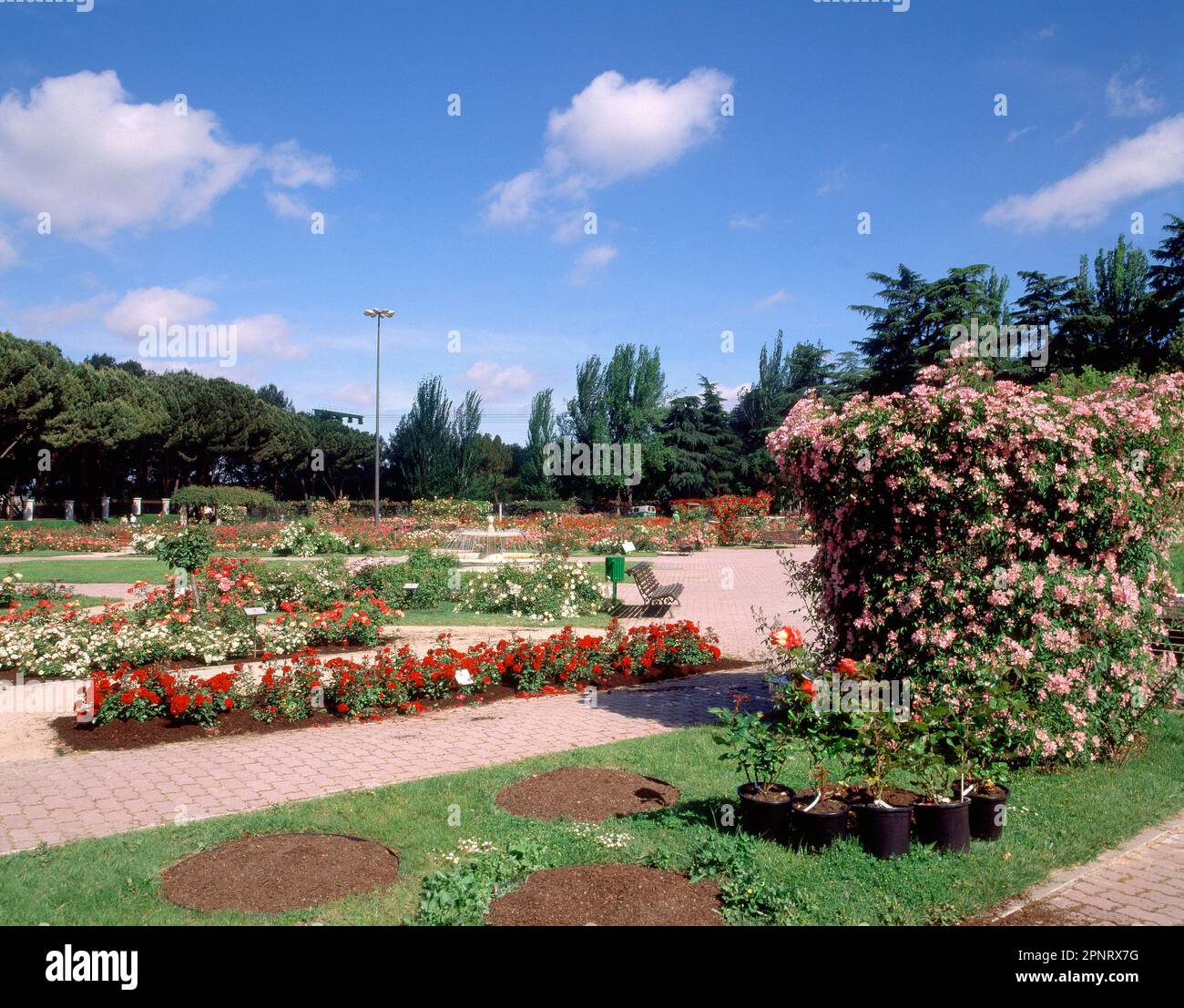 Jardines del oeste hi-res stock photography and images - Alamy