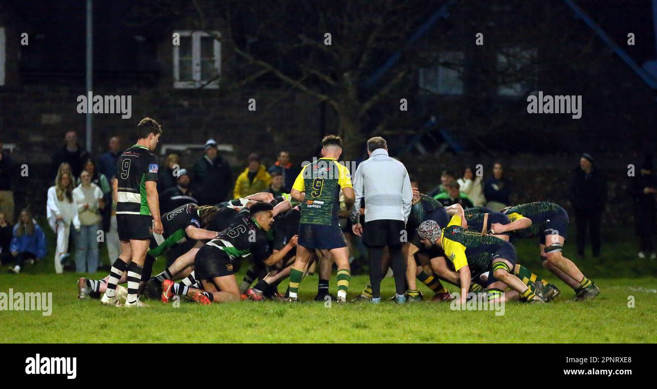 Llandeilo RFC v Cefneithin RFC 2023 Stock Photo - Alamy