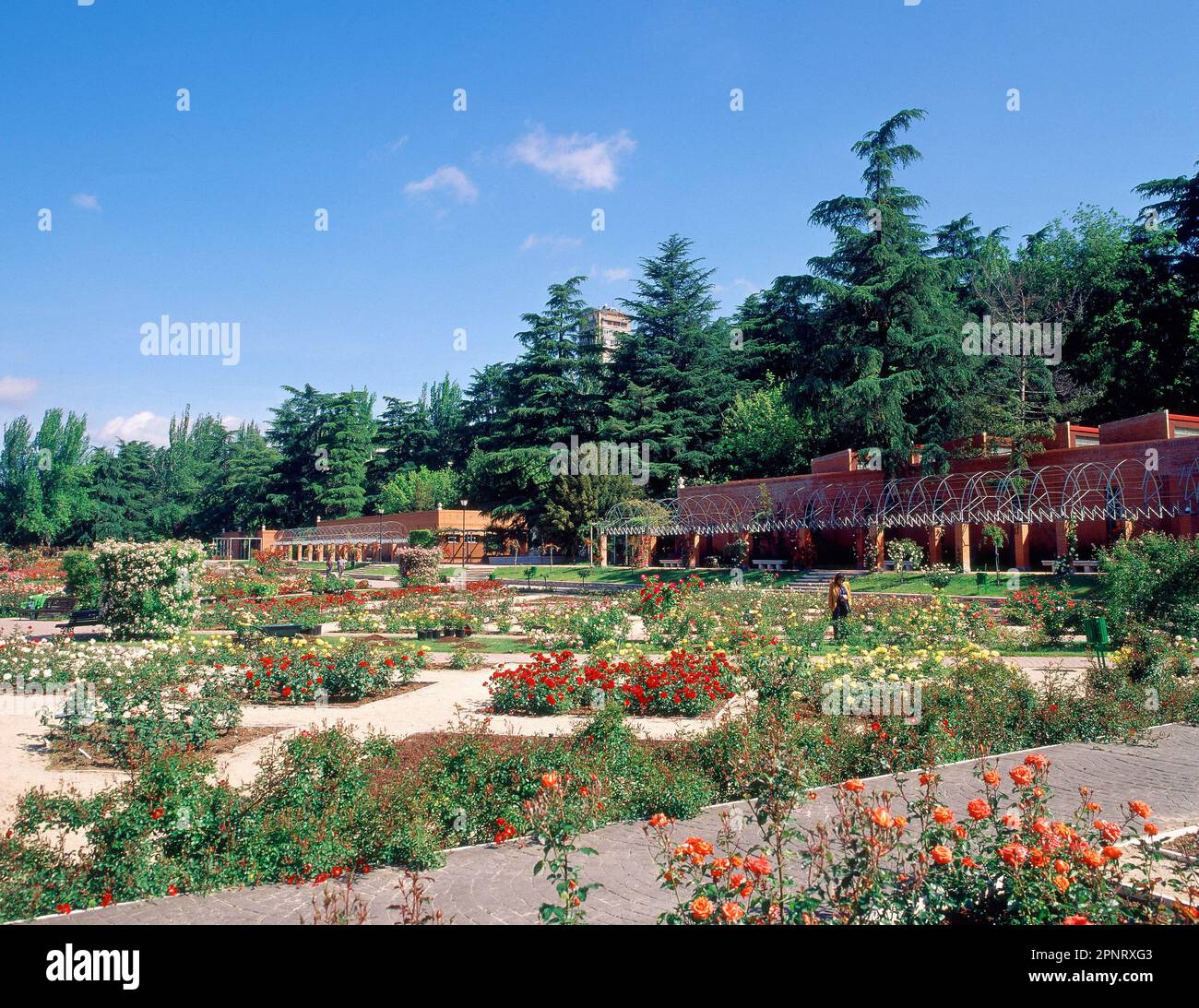 JARDINES DE LA ROSALEDA. Location: PARQUE DEL OESTE. MADRID. SPAIN ...