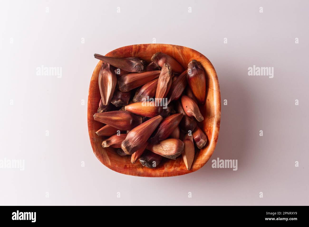 typical foods of festa junina brazilian isolated on white background ...