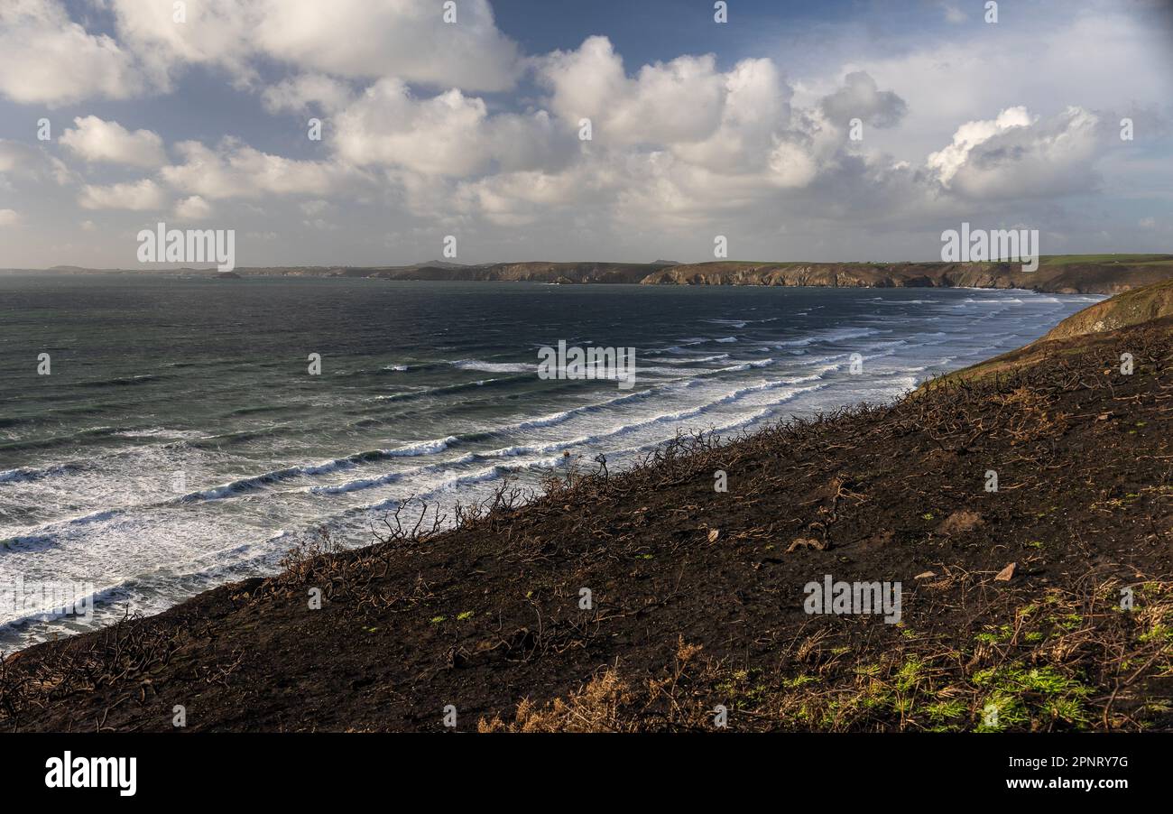 Newgale, beach, Pembrokeshire, Wales, Uk Stock Photo - Alamy