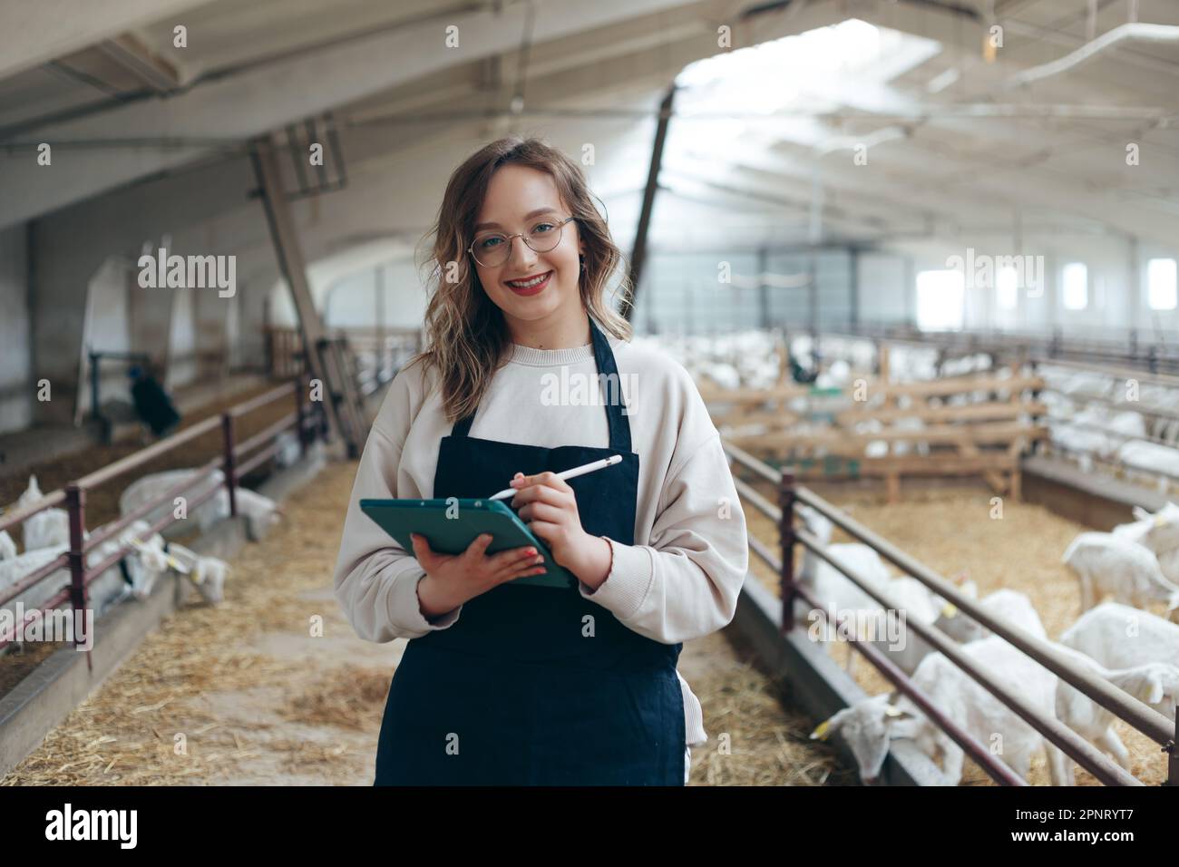 Vet doctor making notes in card about animals Stock Photo - Alamy