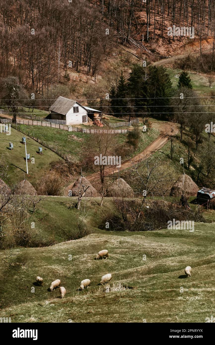 Rural Balkan Landscape with Farmhouse and Gazing Sheep Stock Photo - Alamy